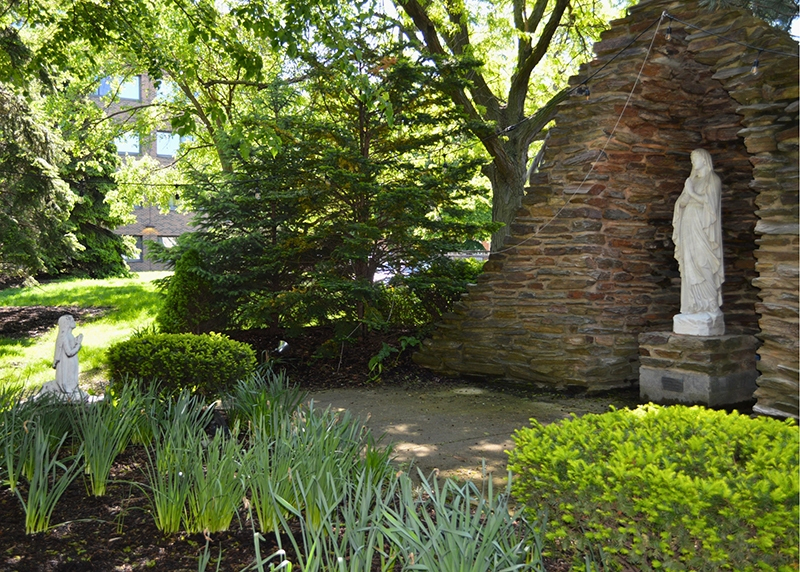 Butterfly Release Day - Little Sisters of the Poor - Chicago